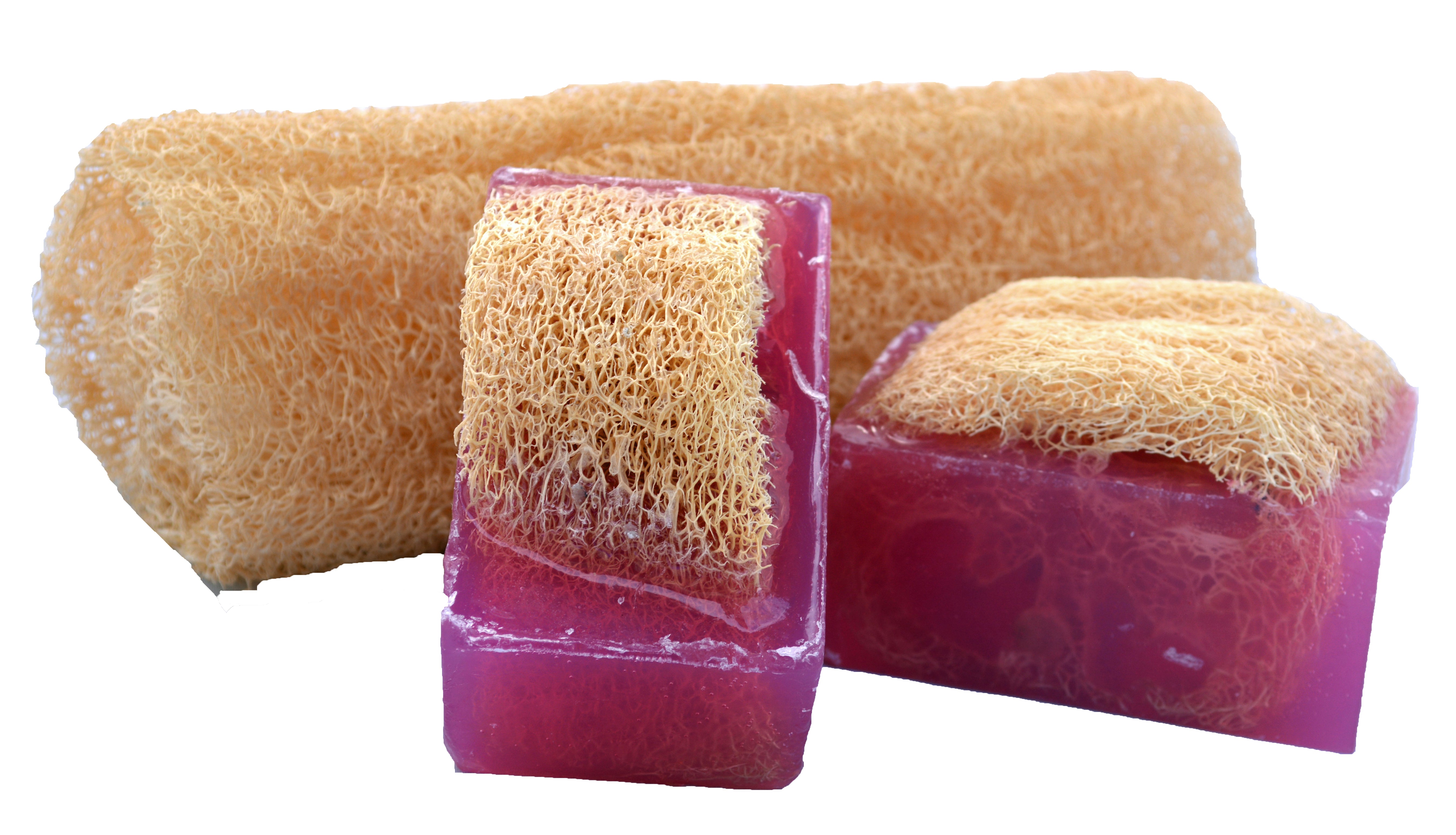 Luffa Exfoliating Soap Bar | Amazing Grace | Handmade Glycerin Soap ...